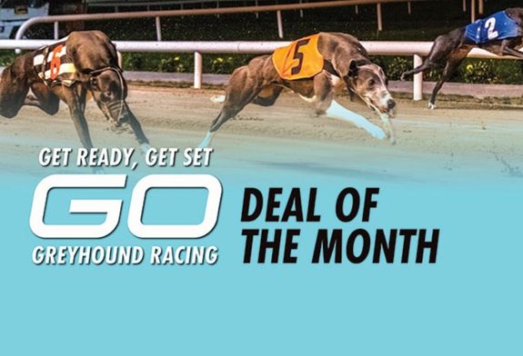 Go Greyhound Racing Kerry | Kingdom Greyhound Stadium Tralee